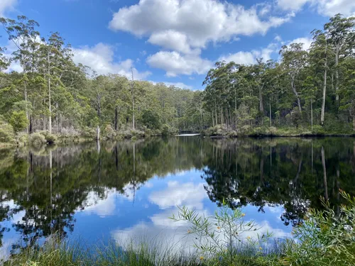 Best Hikes and Trails in Shannon National Park | AllTrails