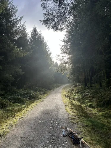 Best Walking Trails in Launceston | AllTrails