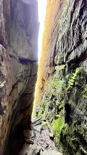 Best Hikes and Trails in Newnes State Forest | AllTrails