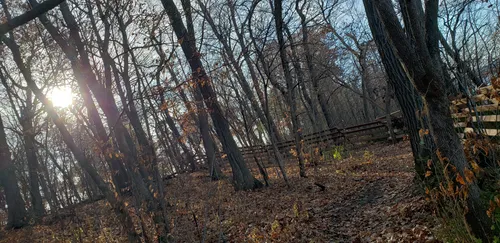 Best Hikes and Trails in Spring Lake Park Preserve | AllTrails