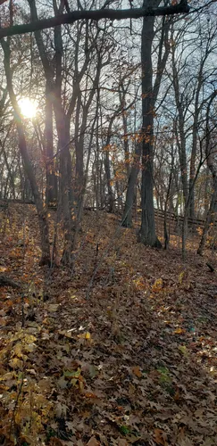 Best Hikes and Trails in Spring Lake Park Preserve | AllTrails