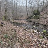 Cave River Valley Trail, Indiana - 206 Reviews, Map | AllTrails