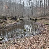 Cave River Valley Trail, Indiana - 206 Reviews, Map | AllTrails