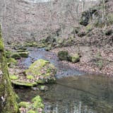 Cave River Valley Trail, Indiana - 206 Reviews, Map | AllTrails