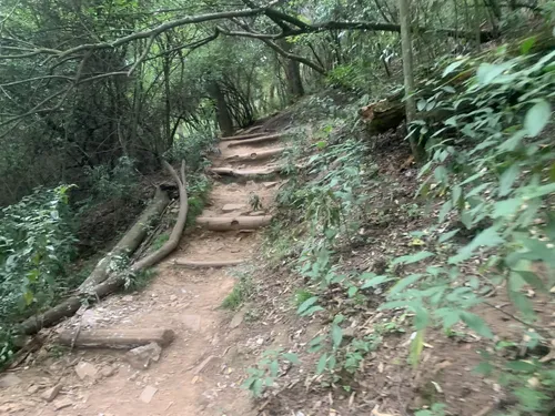 Best Hikes and Trails in Moreleta Kloof Nature Reserve | AllTrails