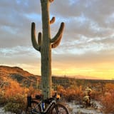 Cactus Forest Loop Drive, Arizona - 462 Reviews, Map | AllTrails