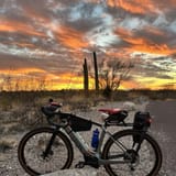 Cactus Forest Loop Drive, Arizona - 462 Reviews, Map | AllTrails