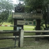 Miccosukee Greenway Trail, Florida - 1,259 Reviews, Map | AllTrails