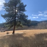 Caribou Ranch Trail, Colorado - 1,464 Reviews, Map | AllTrails