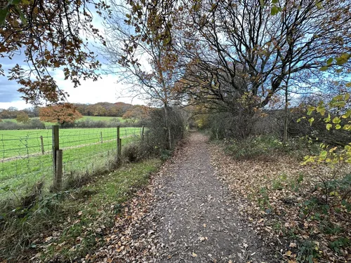 Best Hikes and Trails in Moat Mount Open Space | AllTrails