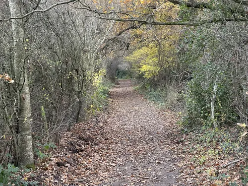 Best Hikes and Trails in Moat Mount Open Space | AllTrails