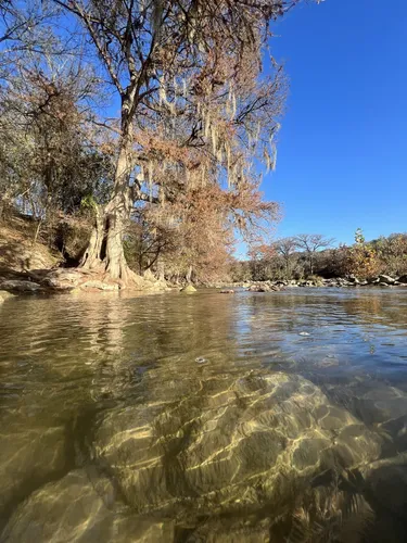 Best Easy Trails in Spring Branch | AllTrails