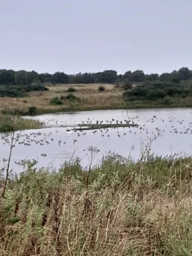 Best Hikes and Trails in North Cave Wetlands | AllTrails