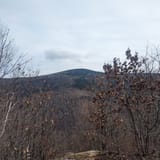 Stony Ledge Trail, Massachusetts - 483 Reviews, Map | AllTrails