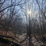 Geode State Park, Iowa - 313 Reviews, Map | AllTrails