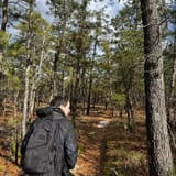 Batsto Lake Trail, New Jersey - 1,509 Reviews, Map | AllTrails