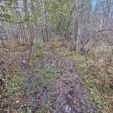 Bognor Marsh Conservation Area Loop, Ontario, Canada - 101 Reviews, Map ...