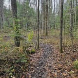Bognor Marsh Conservation Area Loop, Ontario, Canada - 101 Reviews, Map ...