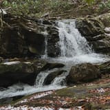 Red Fork Falls Trail, Tennessee - 249 Reviews, Map | AllTrails