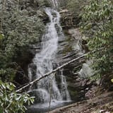 Red Fork Falls Trail, Tennessee - 236 Reviews, Map | AllTrails