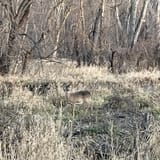 Sac and Fox Trail, Iowa - 268 Reviews, Map | AllTrails