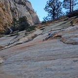 Observation Point via Stave Spring Trailhead, Utah - 448 Reviews, Map ...