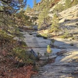 Observation Point via Stave Spring Trailhead, Utah - 448 Reviews, Map ...