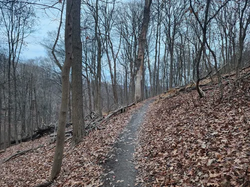 10 Best Hikes and Trails in Frick Park | AllTrails