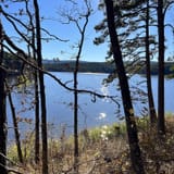 Cedar Lake Trail, Oklahoma - 137 Reviews, Map | AllTrails