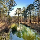 Cedar Lake Trail, Oklahoma - 137 Reviews, Map | AllTrails