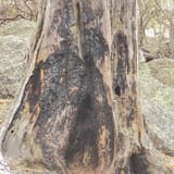 Balancing Rock Trail, Arizona - 609 Reviews, Map | AllTrails