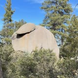 Balancing Rock Trail, Arizona - 609 Reviews, Map | AllTrails