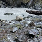 Robe Canyon Historic Trail, Washington - 900 Reviews, Map | AllTrails
