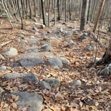 Catamount Hill Trail and One Mile Trail Loop, New Hampshire - 625 ...