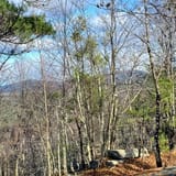 Catamount Hill Trail and One Mile Trail Loop, New Hampshire - 625 ...