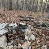 Berryman and Ozark Trail Loop, Missouri - 288 Reviews, Map | AllTrails