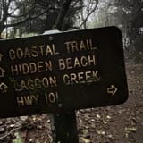 Hidden Beach Trail from Hwy 101, California - 120 Reviews, Map | AllTrails