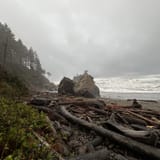 Hidden Beach Trail from Hwy 101, California - 120 Reviews, Map | AllTrails