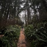 Hidden Beach Trail from Hwy 101, California - 120 Reviews, Map | AllTrails