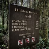 Hidden Beach Trail from Hwy 101, California - 120 Reviews, Map | AllTrails