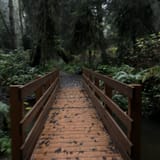 Hidden Beach Trail from Hwy 101, California - 120 Reviews, Map | AllTrails