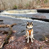 Stepstone Falls via Ben Utter Trail, Rhode Island - 1,429 Reviews, Map ...