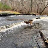 Stepstone Falls via Ben Utter Trail, Rhode Island - 1,473 Reviews, Map ...