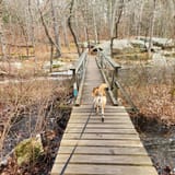 Stepstone Falls via Ben Utter Trail, Rhode Island - 1,566 Reviews, Map ...
