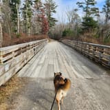 Stepstone Falls via Ben Utter Trail, Rhode Island - 1,566 Reviews, Map ...