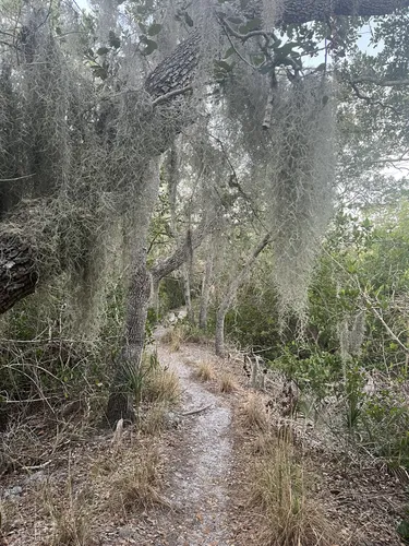 Best Hikes and Trails in Emerson Point Preserve | AllTrails