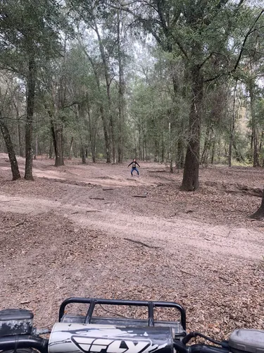 10 Best Off Road Driving Trails in Florida | AllTrails