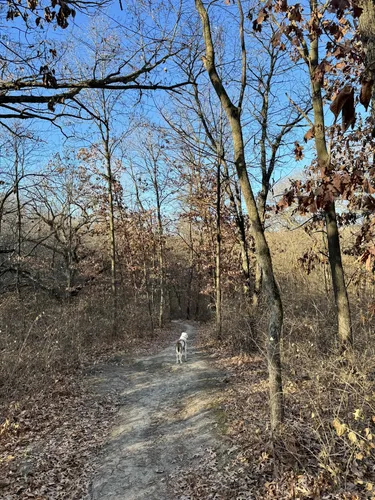 Best Hikes and Trails in Yellow Banks Park | AllTrails
