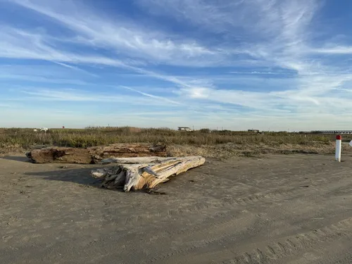 Best 10 Hiking Trails in Sea Rim State Park | AllTrails