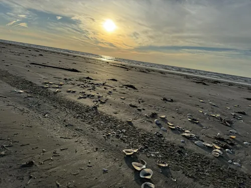 Best Hikes and Trails in Sea Rim State Park | AllTrails